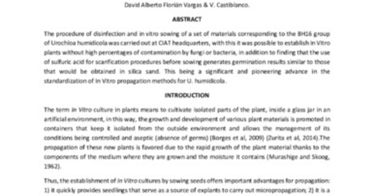 Report on in vitro propagation from the Bh16 collection of Urochloa ...